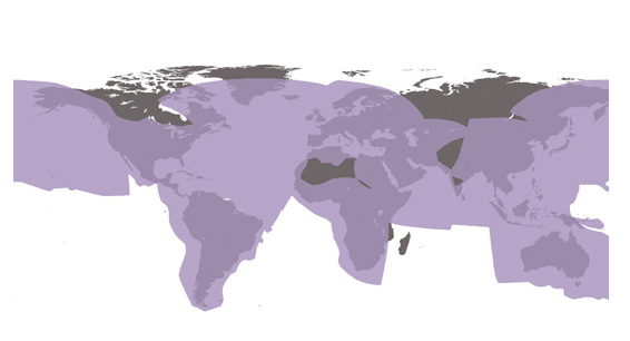 SuperyachtNews.com - Fleet - KVH Industries to boost EMEA satellite ...