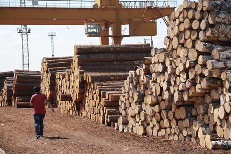 SuperyachtNews.com - Business - EU to halt illegal importation of timber